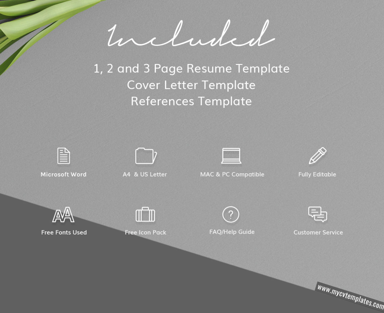 Student CV Template, Curriculum Vitae, Simple CV Format Design, Modern ...