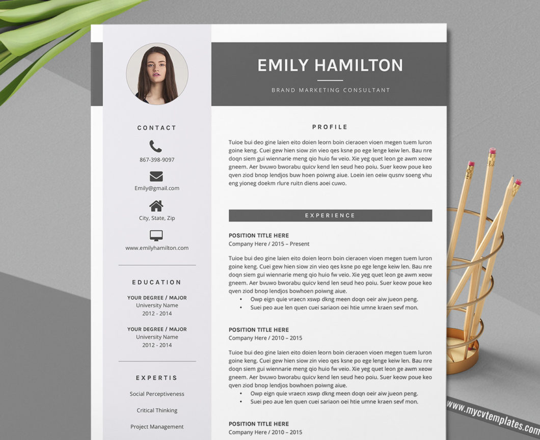 Student CV Template, Curriculum Vitae, Simple CV Format Design, Modern ...