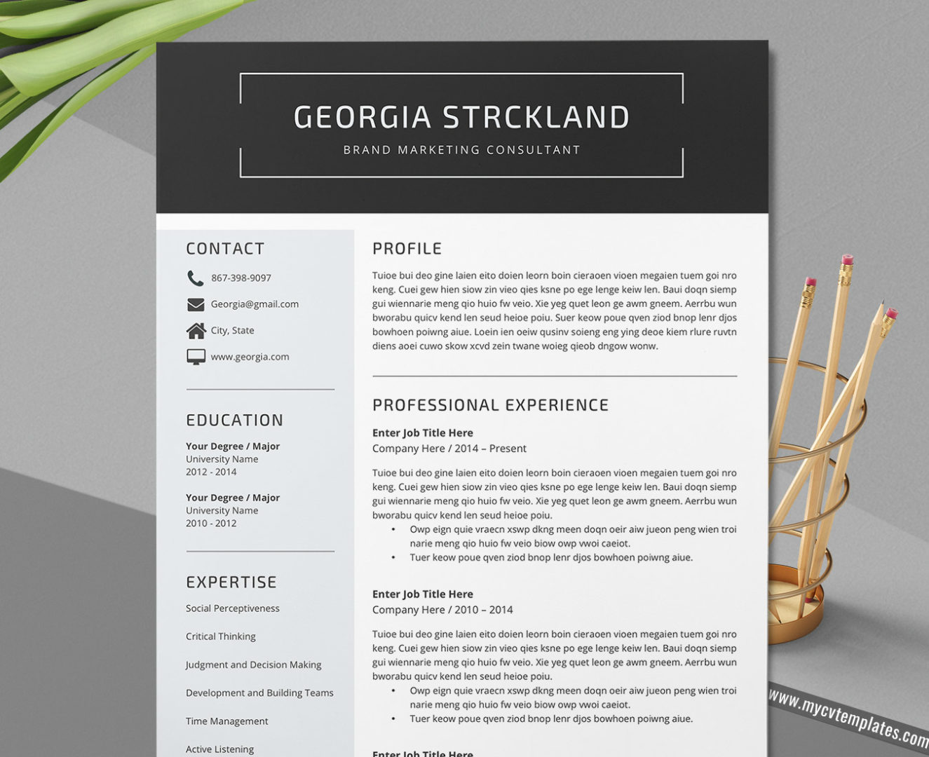 CV Templates – Without Photo – MyCVTemplates.com