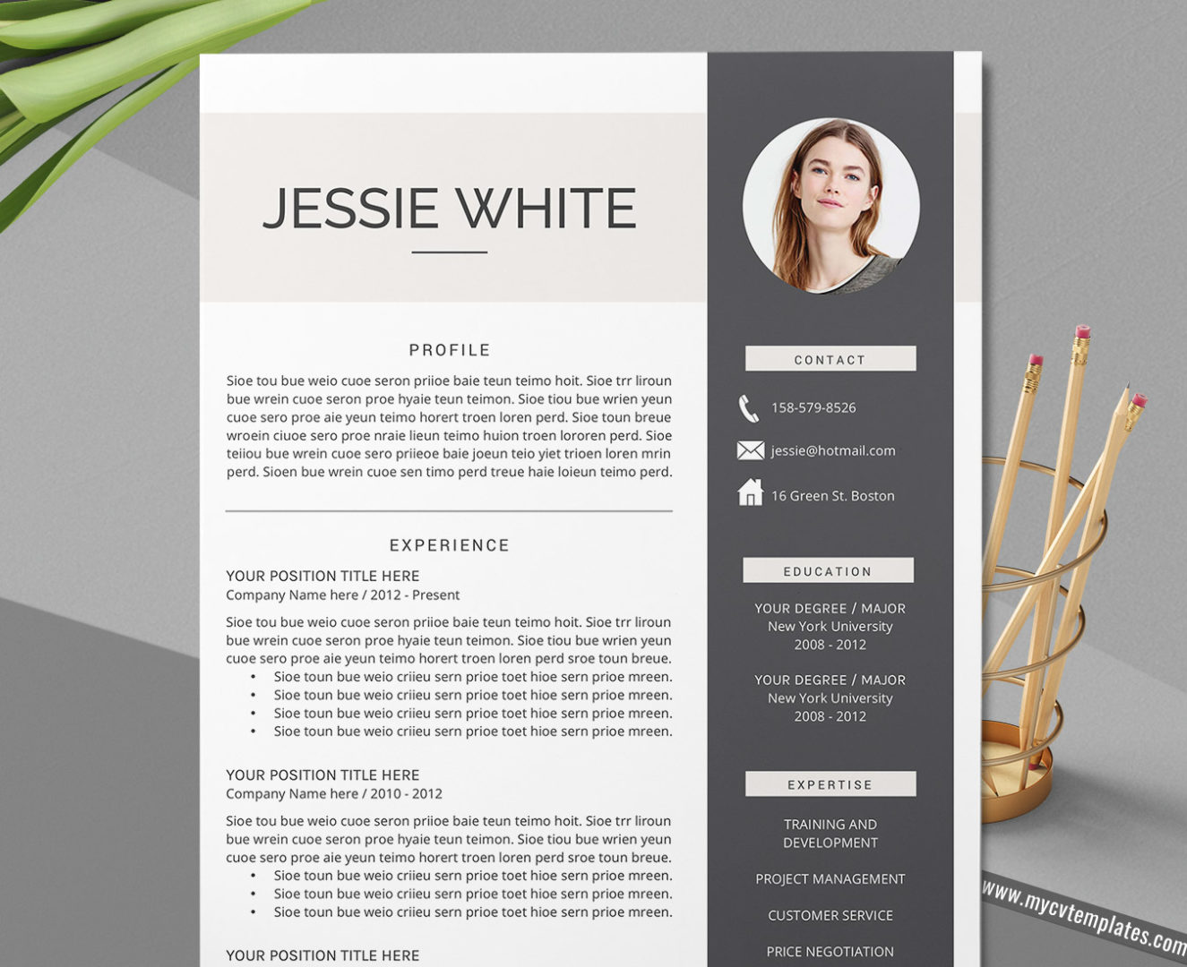 Editable CV Template For Word Curriculum Vitae Modern CV Format 