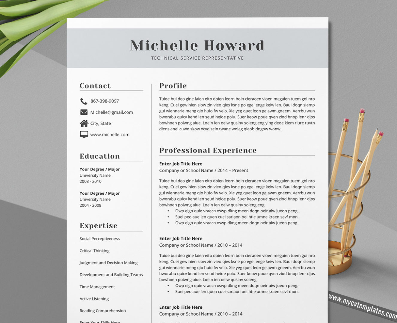 CV Template Word, Professional CV Format Design, Curriculum Vitae ...