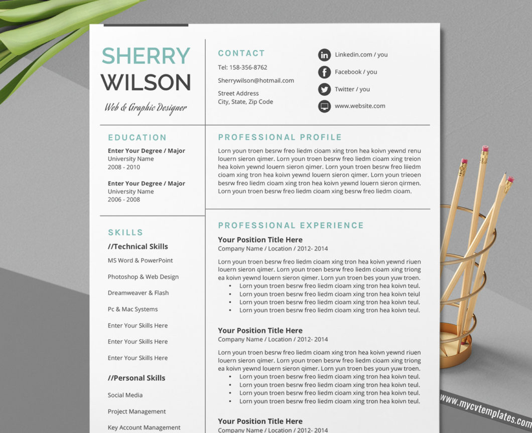 Editable CV Template for Word, Curriculum Vitae, Modern CV Format ...