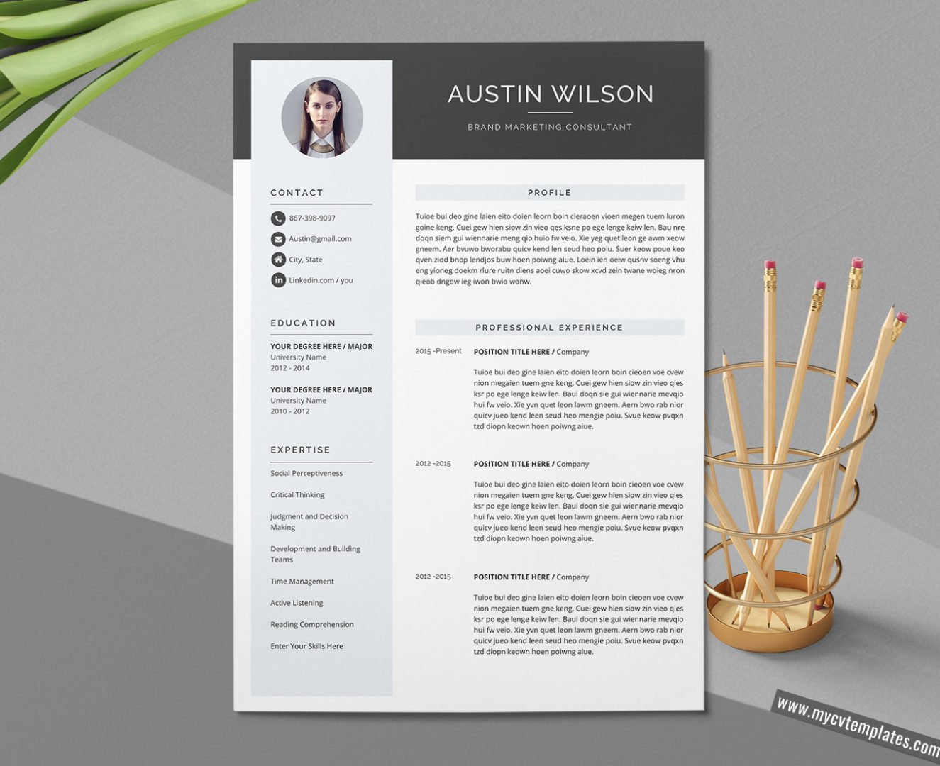 CV Template, Curriculum Vitae, Modern CV Format Design, Simple Resume ...