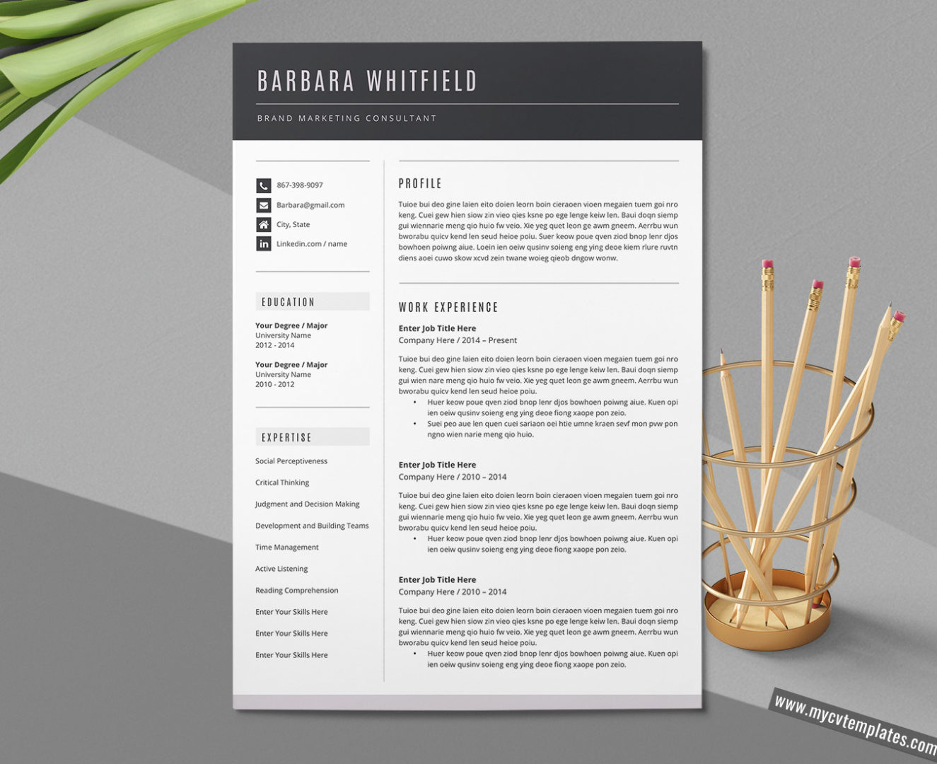 CV Template Word, Professional CV Format Design, Curriculum Vitae ...